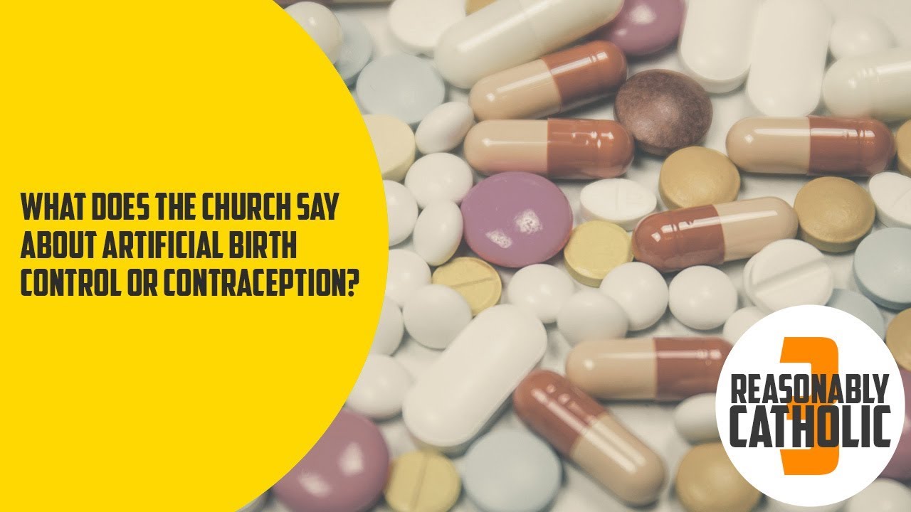 RC3 - Episode 5 - What does the Church say about artificial birth ...