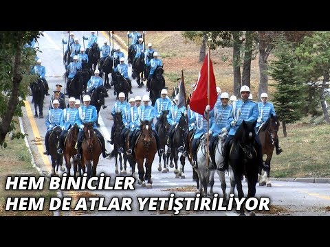 TSK'nın atlı birlikleri, süvarilerin şanlı tarihini yaşatıyor