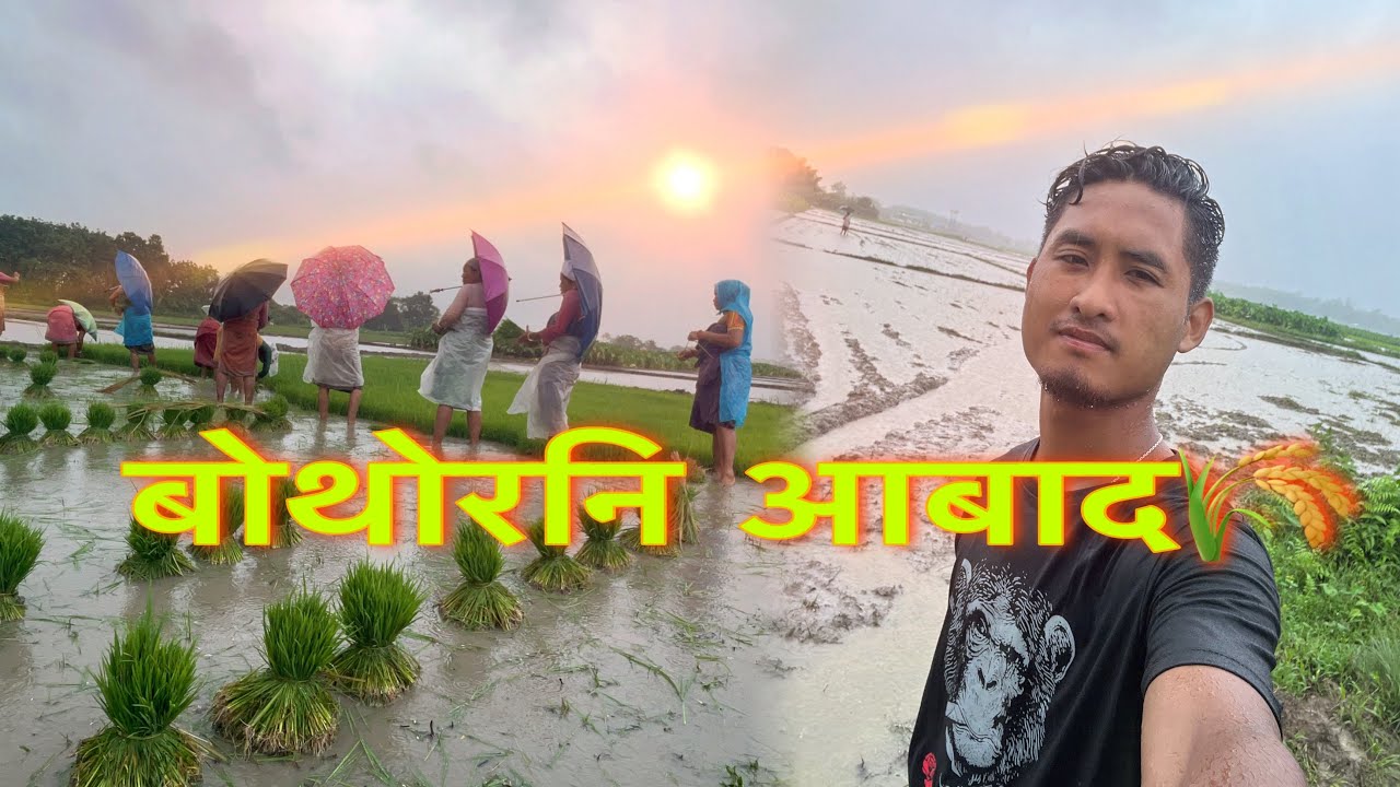 Oka hanai aonw lagaobaii 🤣😂💦💦// बोथोरनि आबाद मावबाय 🌾🌾// Bodo vlog ...