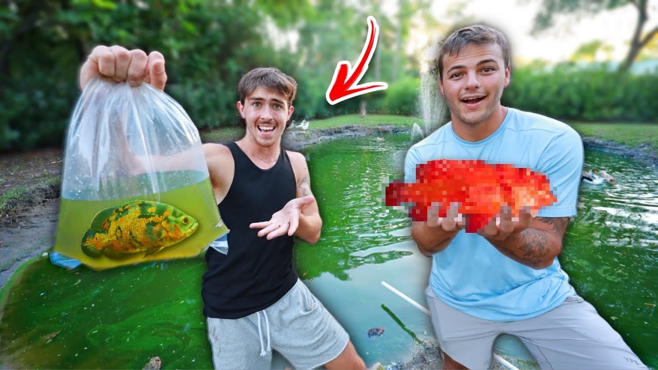 1v1 Catch biggest Exotic fish for Backyard Pond! (Challenge) - YouTube