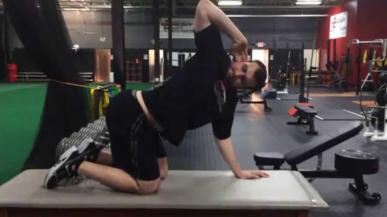 Quadruped Extension Rotation - YouTube