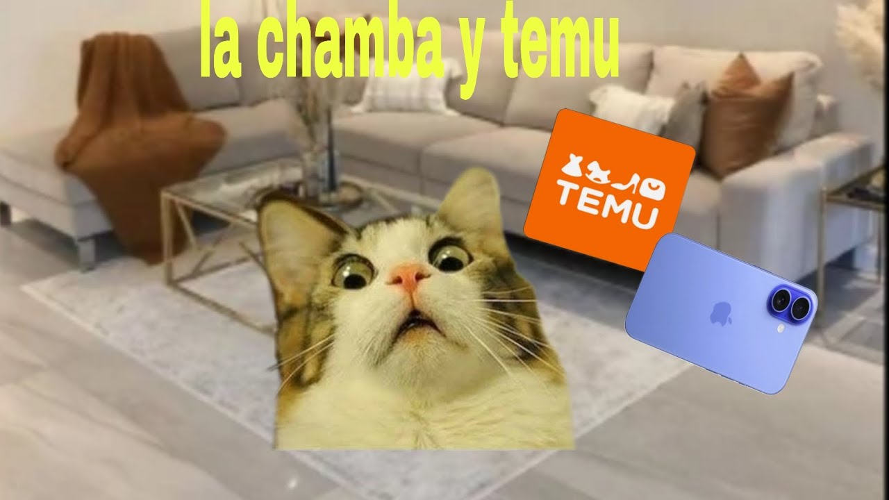 LA CHAMBA Y TEMU,meme de gatos - YouTube