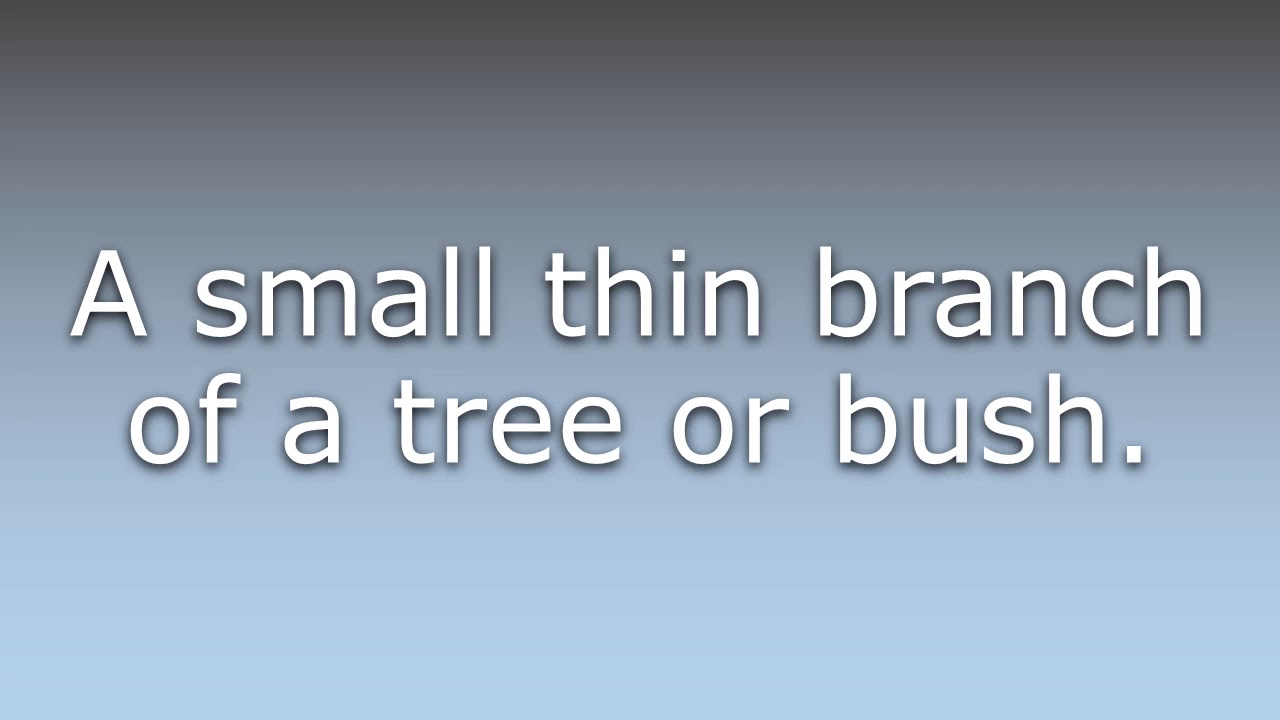 what-does-twig-mean-youtube
