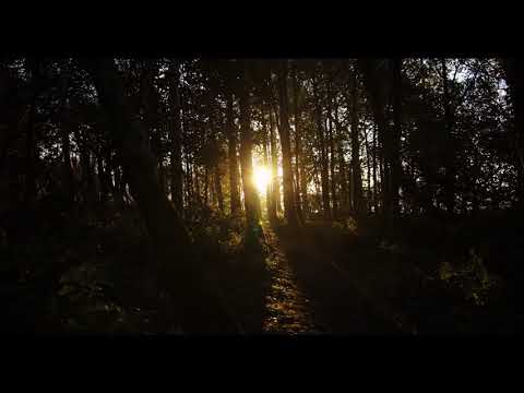 Sunset views with lovely Hindi song