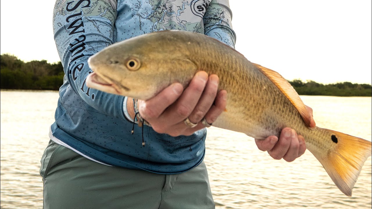 Chasing Thunderstorm Redfish! - YouTube