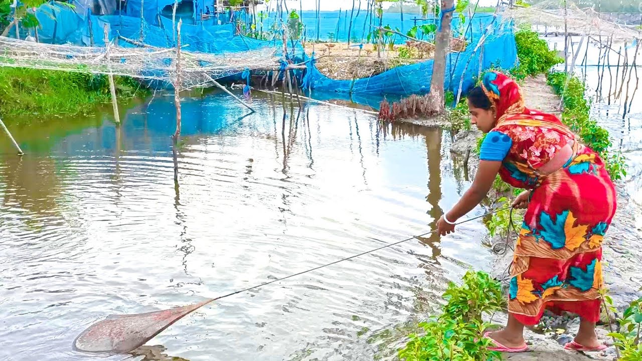 Cast net fishing video - Best village girl catching fish With a cast ...