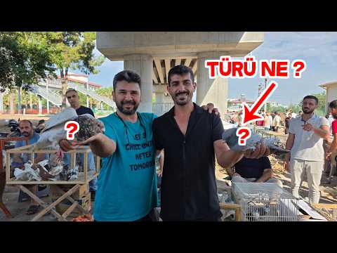 Osmaniye Güvercin Pazarında Rastladığım Kuşlara Bakın