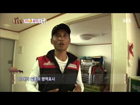 20130929 TV동물농장 #2(9)