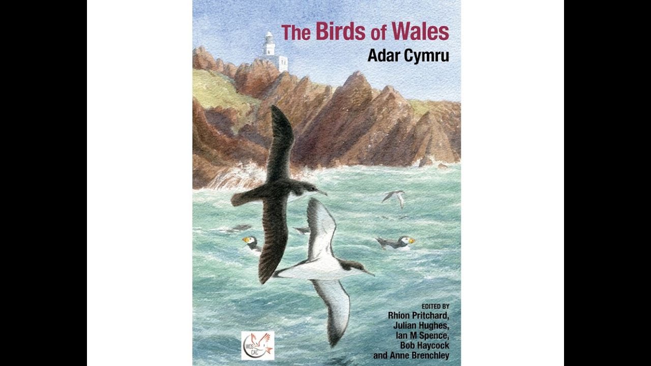 Ffawd Adar yng Nghymru/The Fortunes of Birds in Wales (Rhion Pritchard ...