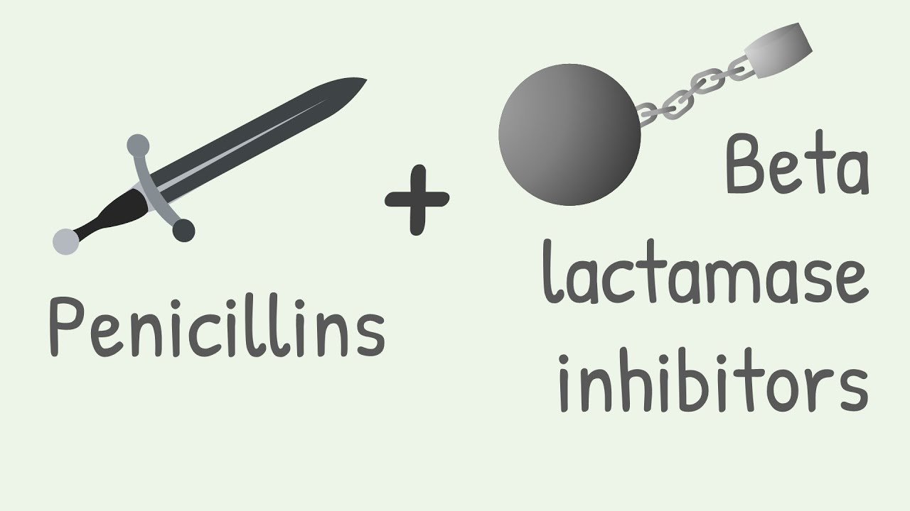 Penicillin + Beta Lactamase Inhibitors Combination