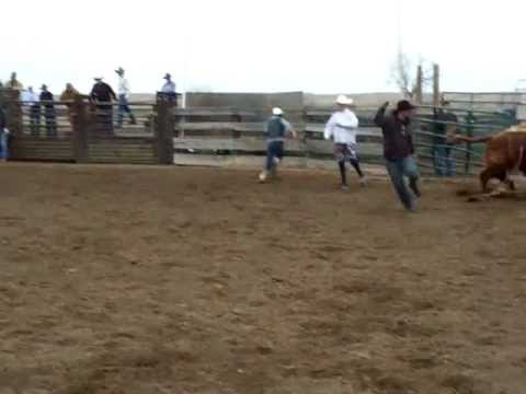 Cody Lane Beery bullride
