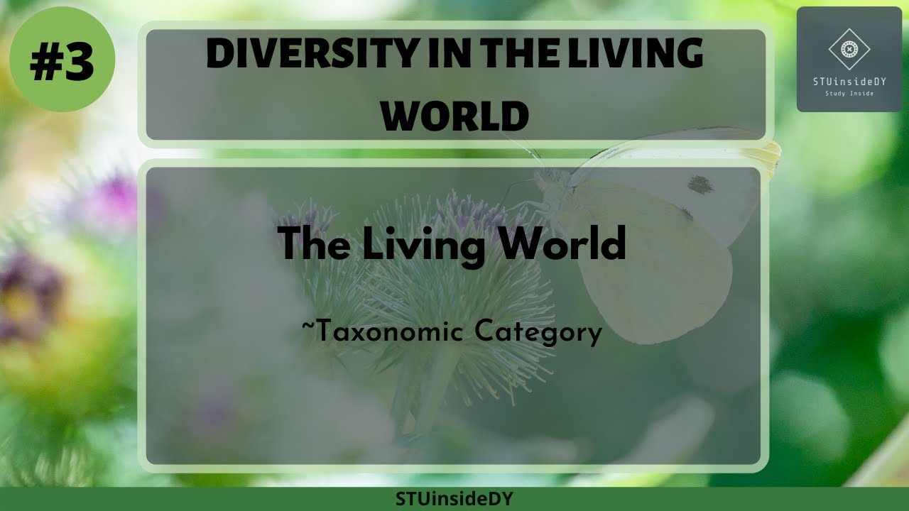 The Living World | Taxonomic Categories | Unit-1 Diversity in The ...