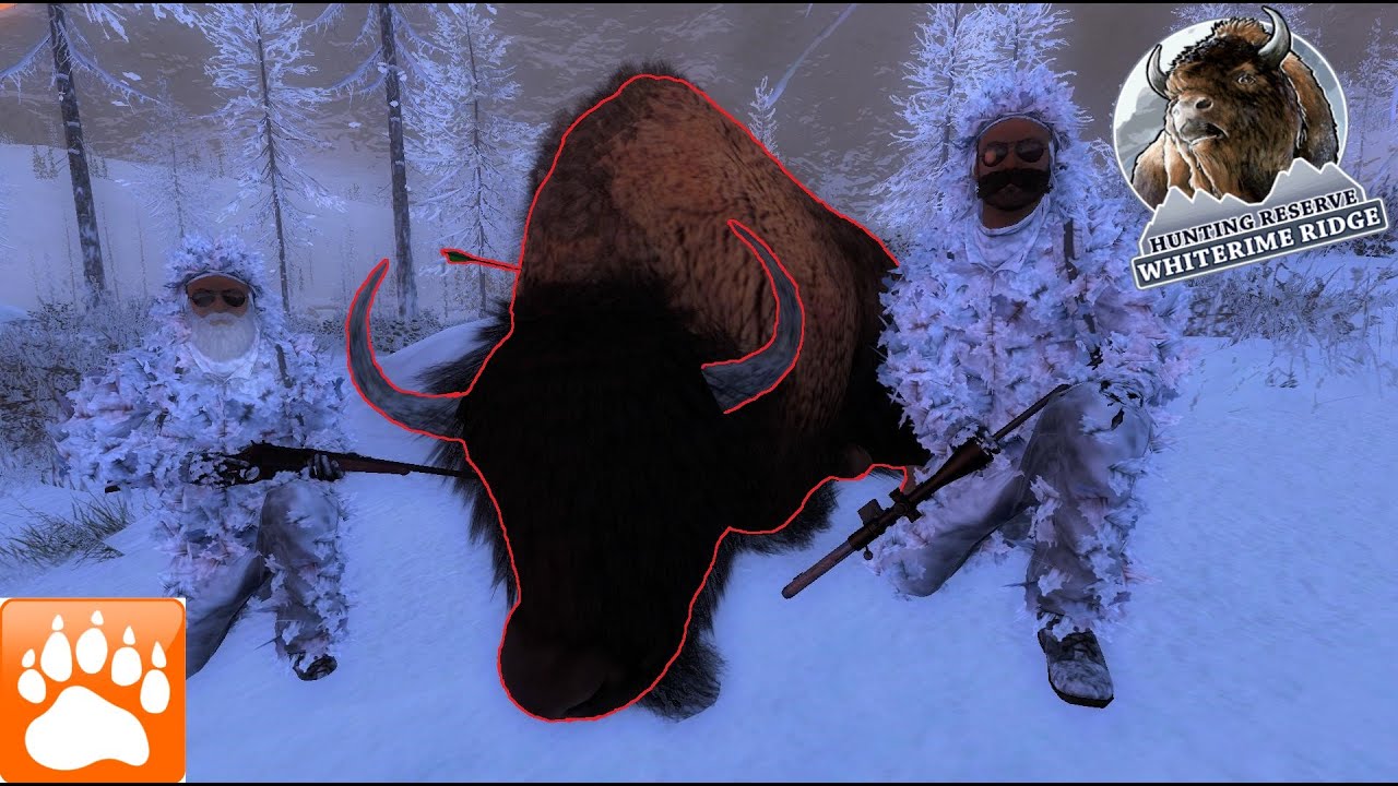 Bison hunting | TheHunter Classic - YouTube