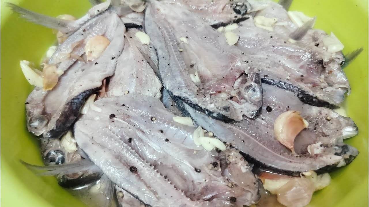 daeng na flying fish..♥️ summer na kaya marami nanaman neto👌 - YouTube