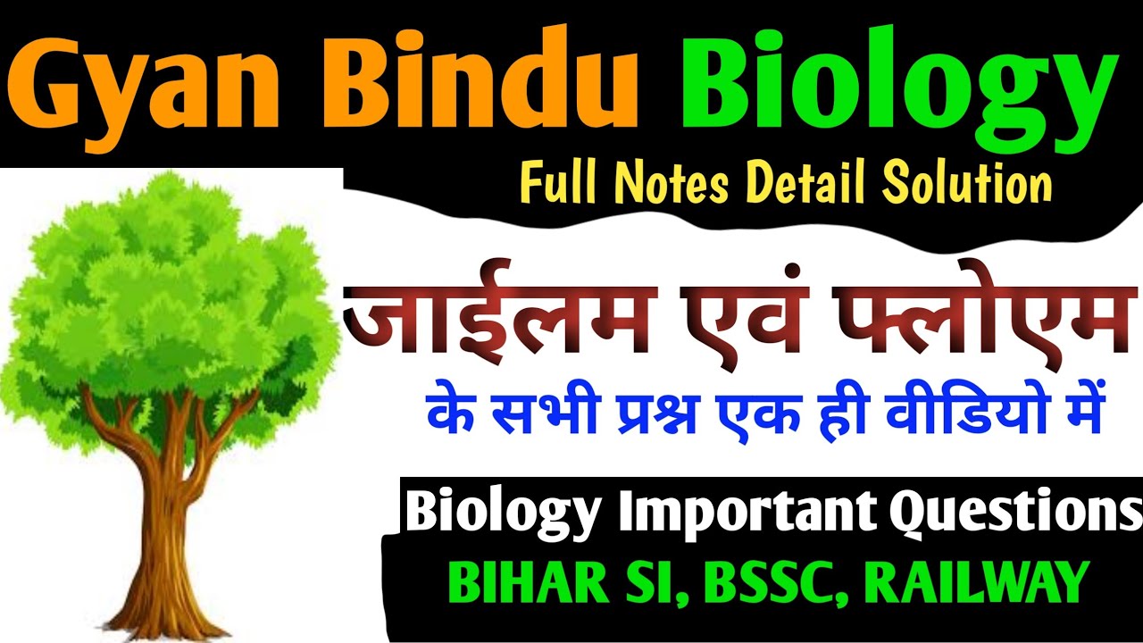 Biology Important Questions || Xylam and Floyem: जाईलम और फ्लोयम ...