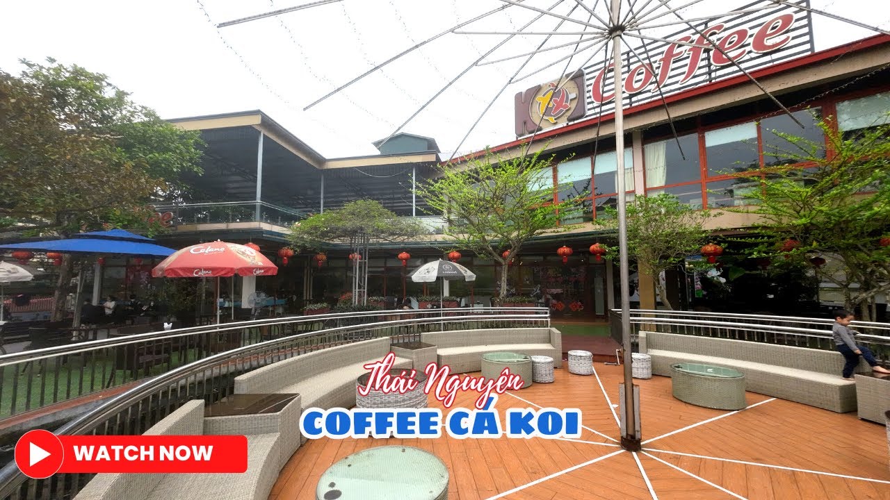 KOI Coffee Thái Nguyên: Địa Điểm Uống Cafe Ngắm Cá KOI || KOI Fish ...