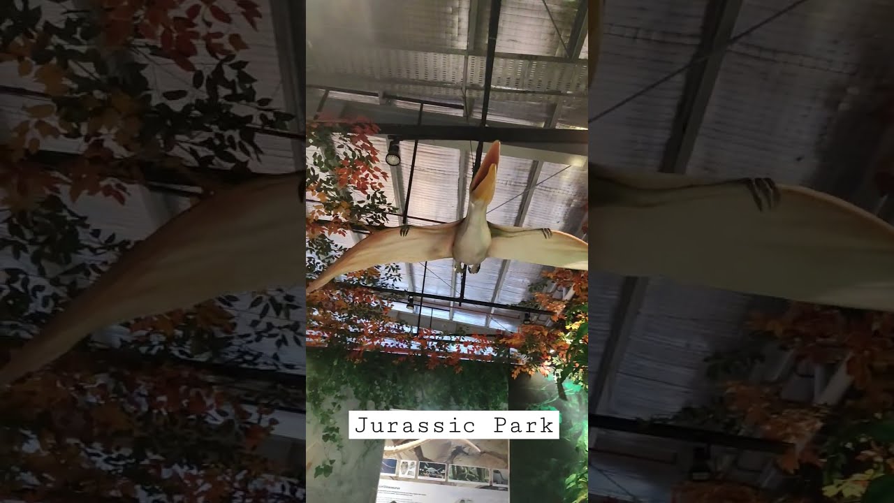 DINO LAB | JURASSIC PARK | FUN WORLD | QBIG | LEARN AND PLAY | # ...