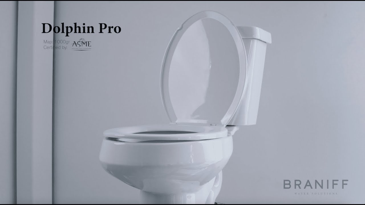Dolphin Pro Lab Test - YouTube