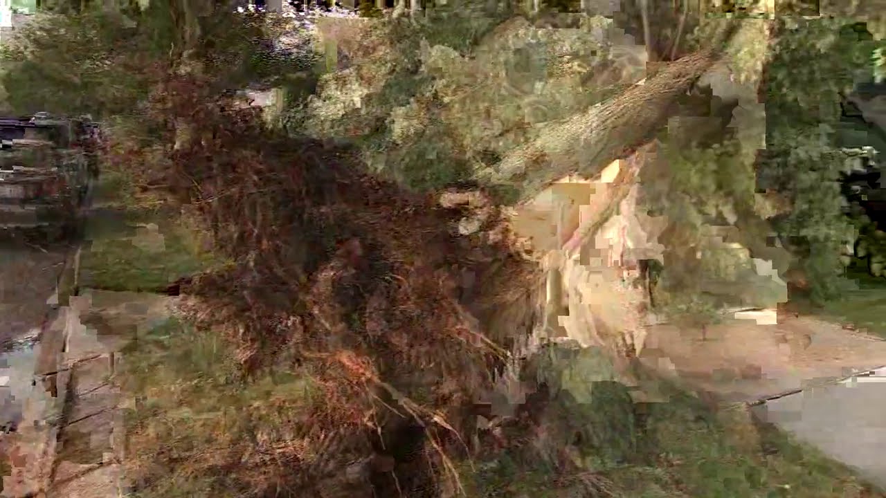Chicago trees uprooted, thousands without power after derecho - YouTube