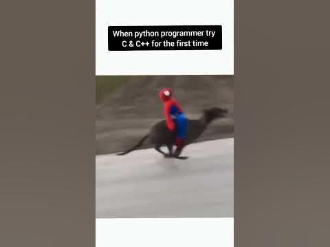 What is your favorite programming language? #shorts - YouTube