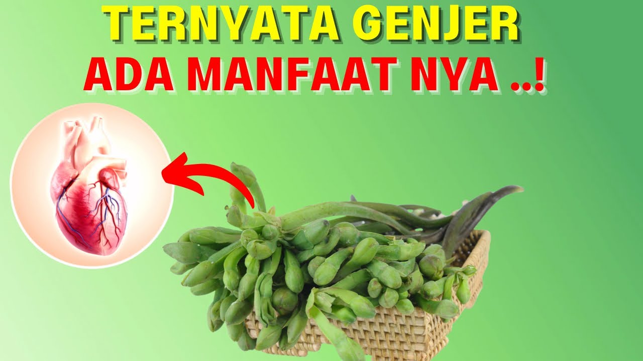 5 MANFAAT GENJER UNTUK KESEHATAN YANG JARANG DIKETAHUI .. - YouTube