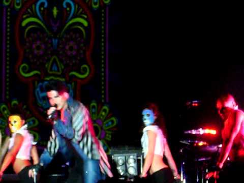 Adam Lambert - Strut - YouTube