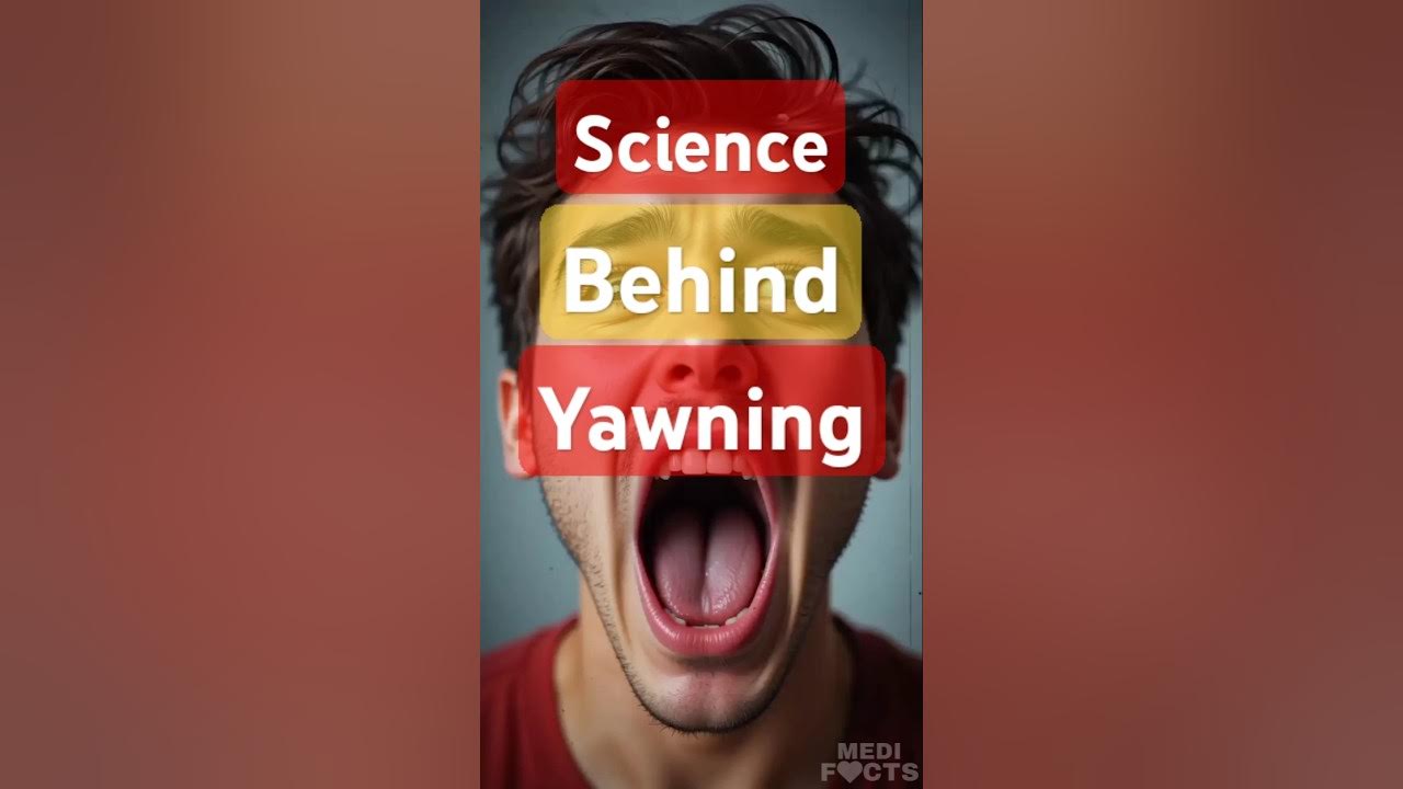 Why Do We Yawn? | The Science Behind Yawning | #shorts - YouTube