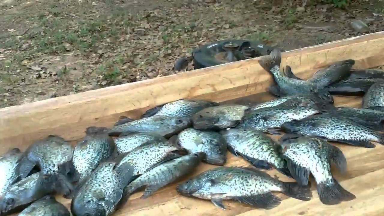 Spring Crappie Fishing - YouTube
