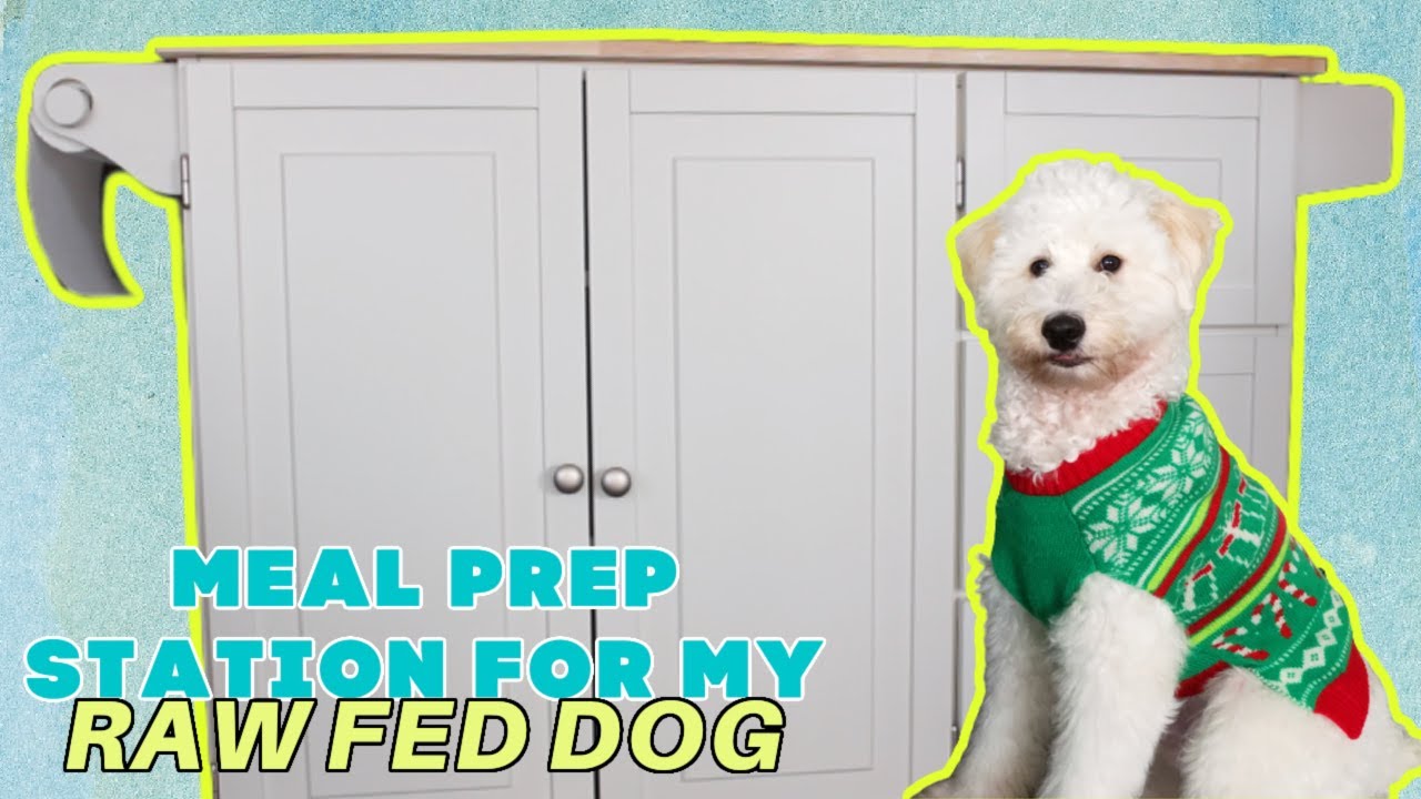 My Meal Prep Station for my Raw Fed Dog - YouTube