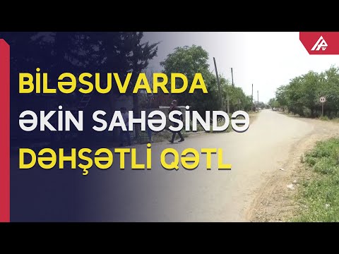 Yeznəsini əkin sahəsində öldürüb qulağını kəsdi - TORPAQ DAVASI - APA TV