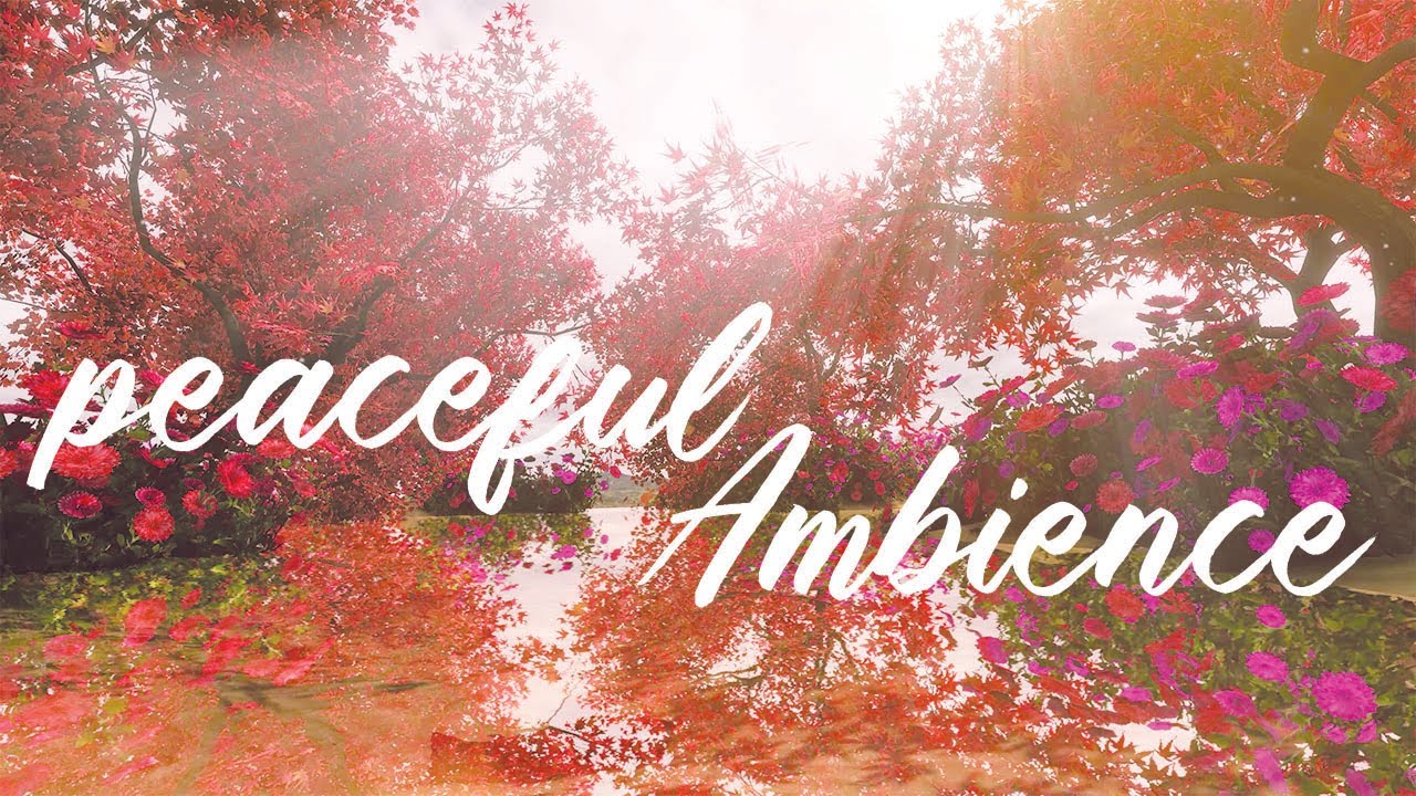 Peaceful Nature Ambience - Study - Relax - Beautiful Pond Visual ...