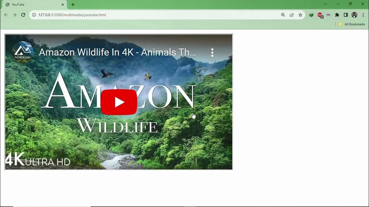 137. HTML YouTube Video Element Part 2 - YouTube