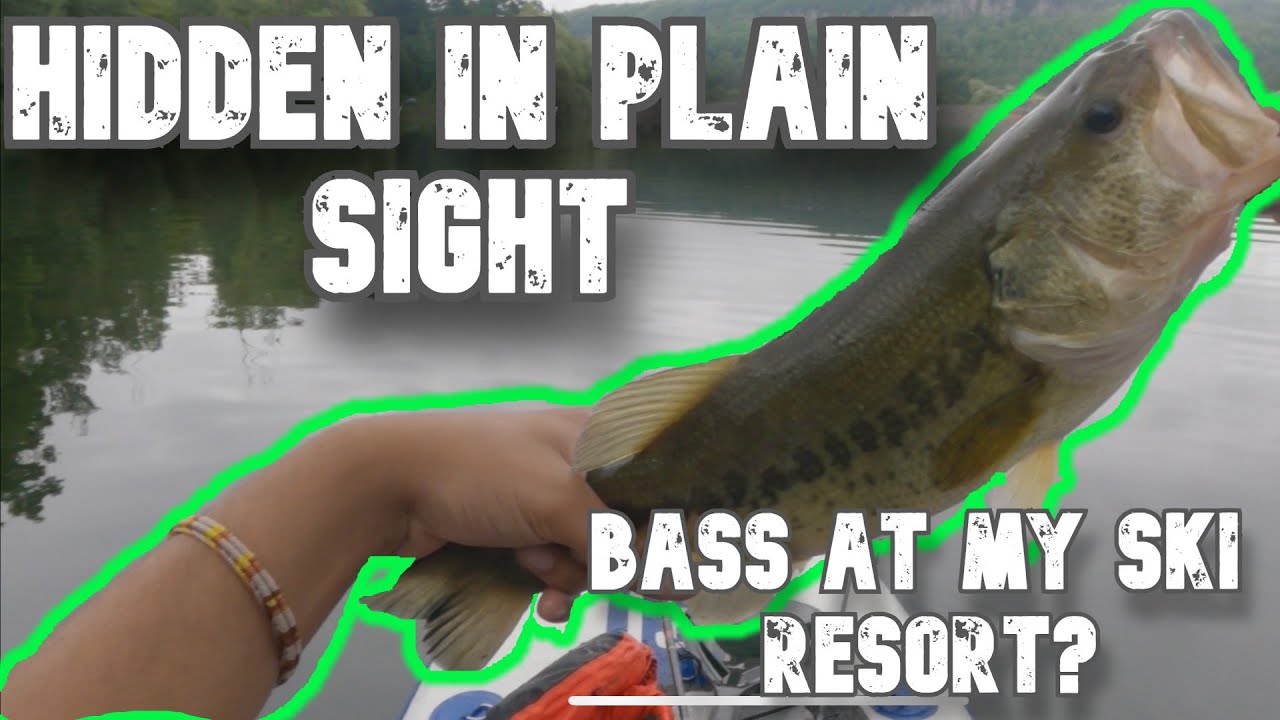 I Fished a Ski Resort and This Is What Happened | Kelso Lake Milton ...