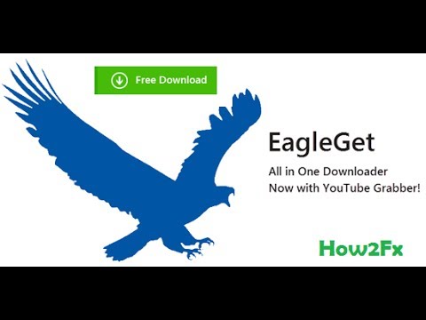 How to install Eagle Get? Eagle Download Manager|| How to Fix - YouTube