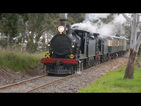 Twin RXs lead SteamRanger's Southern Encounter - 20 August 2023 - YouTube