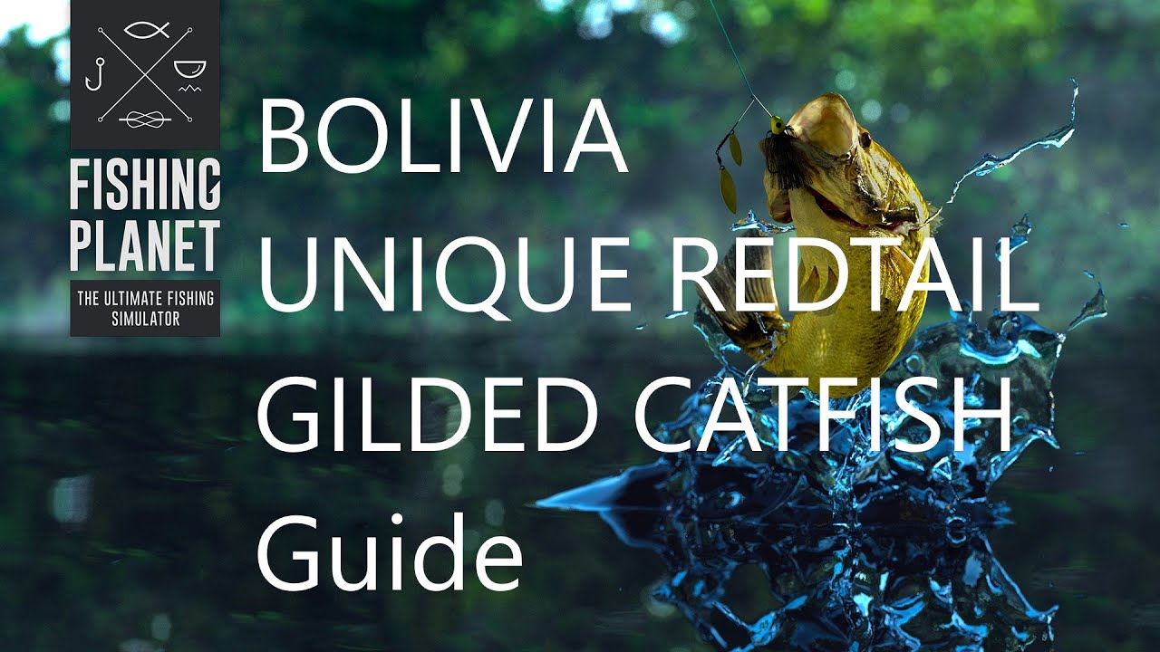 Fishing Planet, Bolivia Unique Redtail, Gilded Catfish , Xp Farm Guide ...