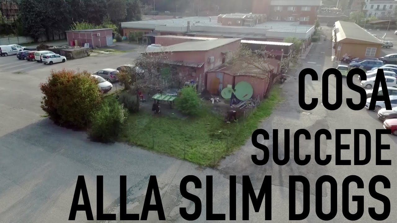 Cosa succede alla Slim Dogs? - YouTube