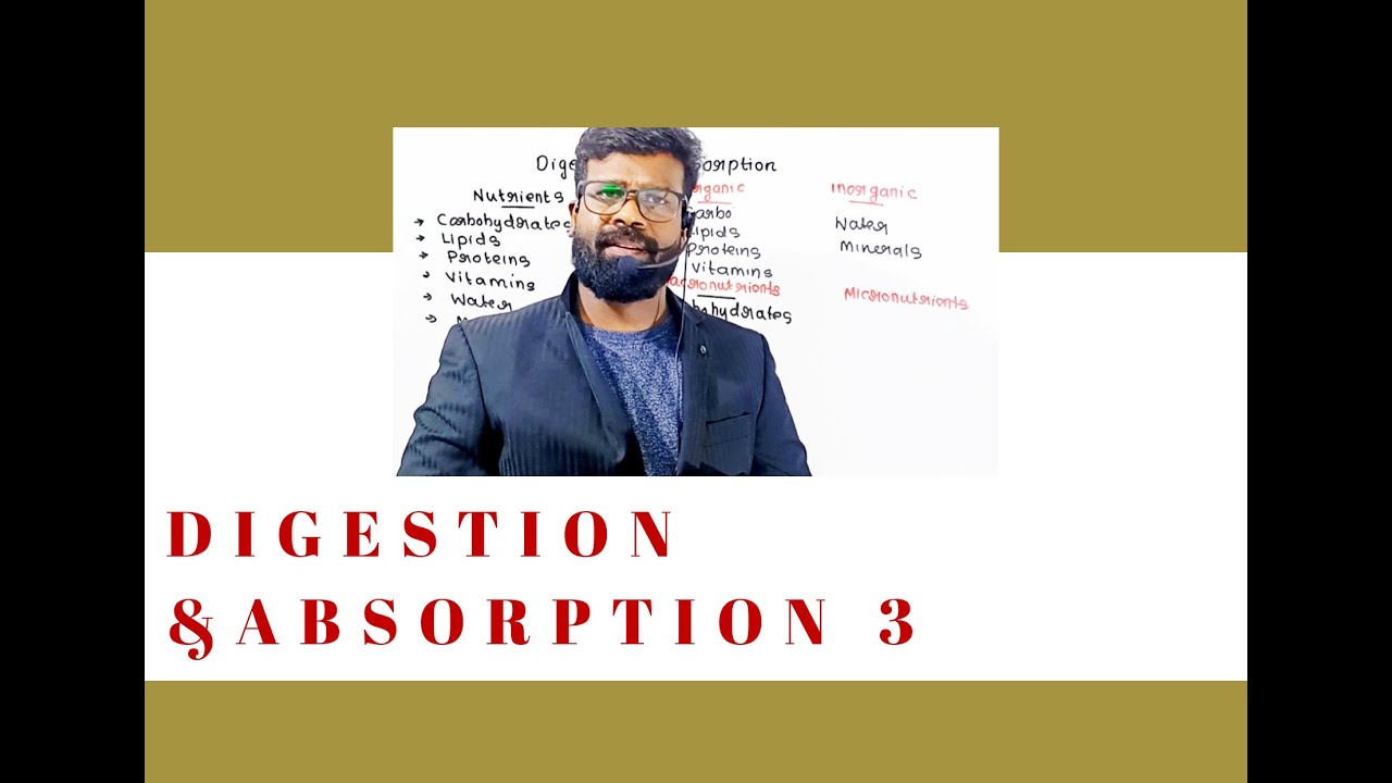 DIGESTION & ABSORPTION/DIPHYODONT DENTITION/STRUCTURE OF TOOTH - YouTube