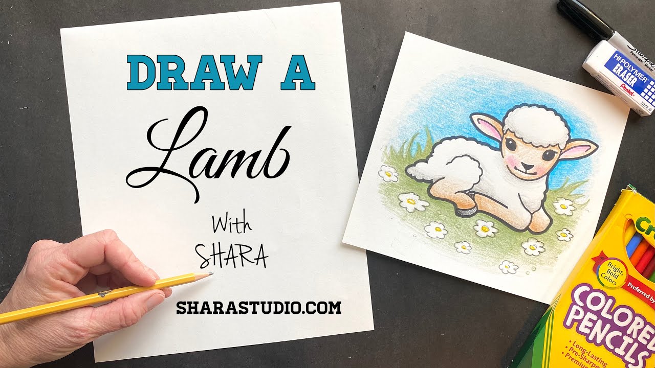 How to draw a Lamb - YouTube