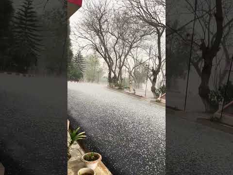 #meghalaya #snowfall #nature #naturelovers - YouTube