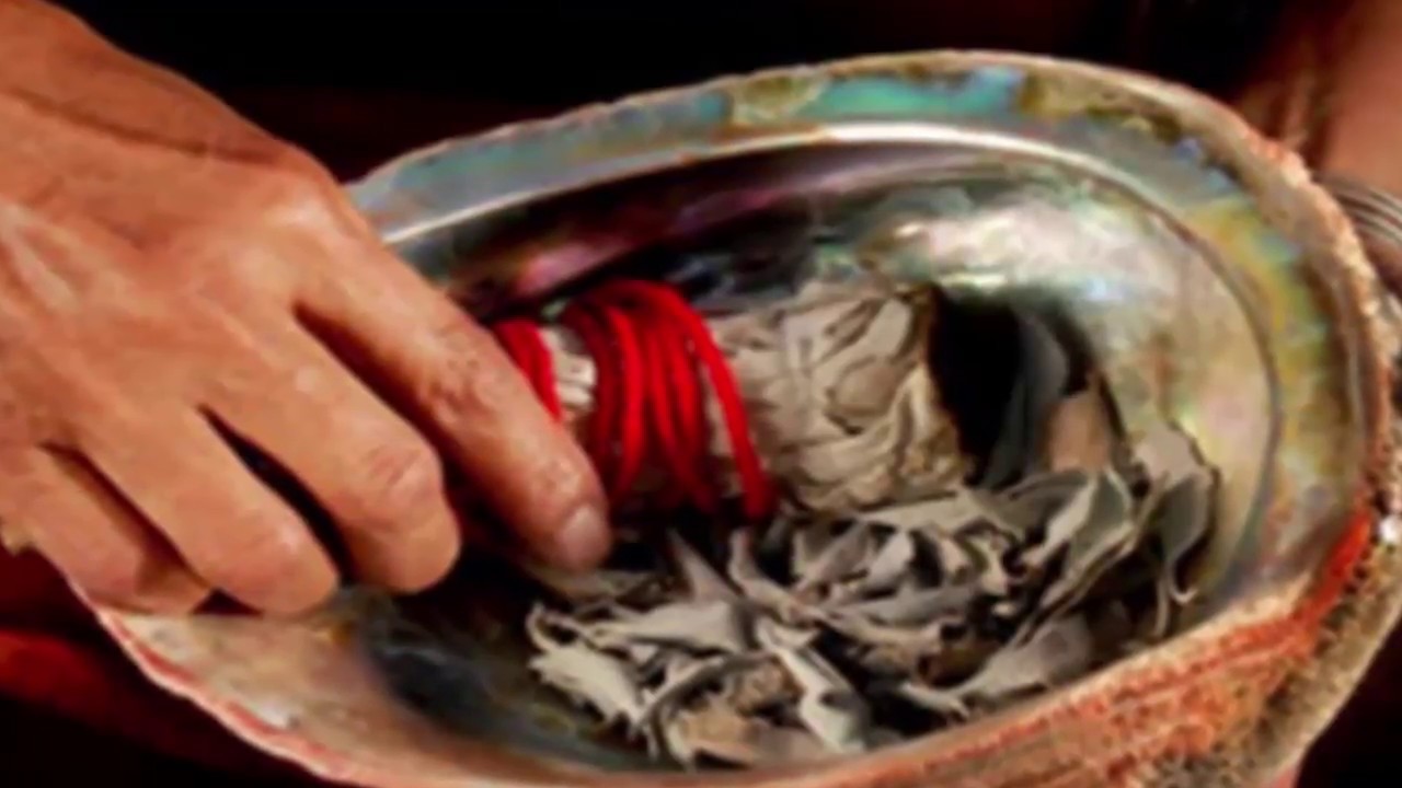 Native American Remedies - Ancient Survival Medicine That We Lost To ...