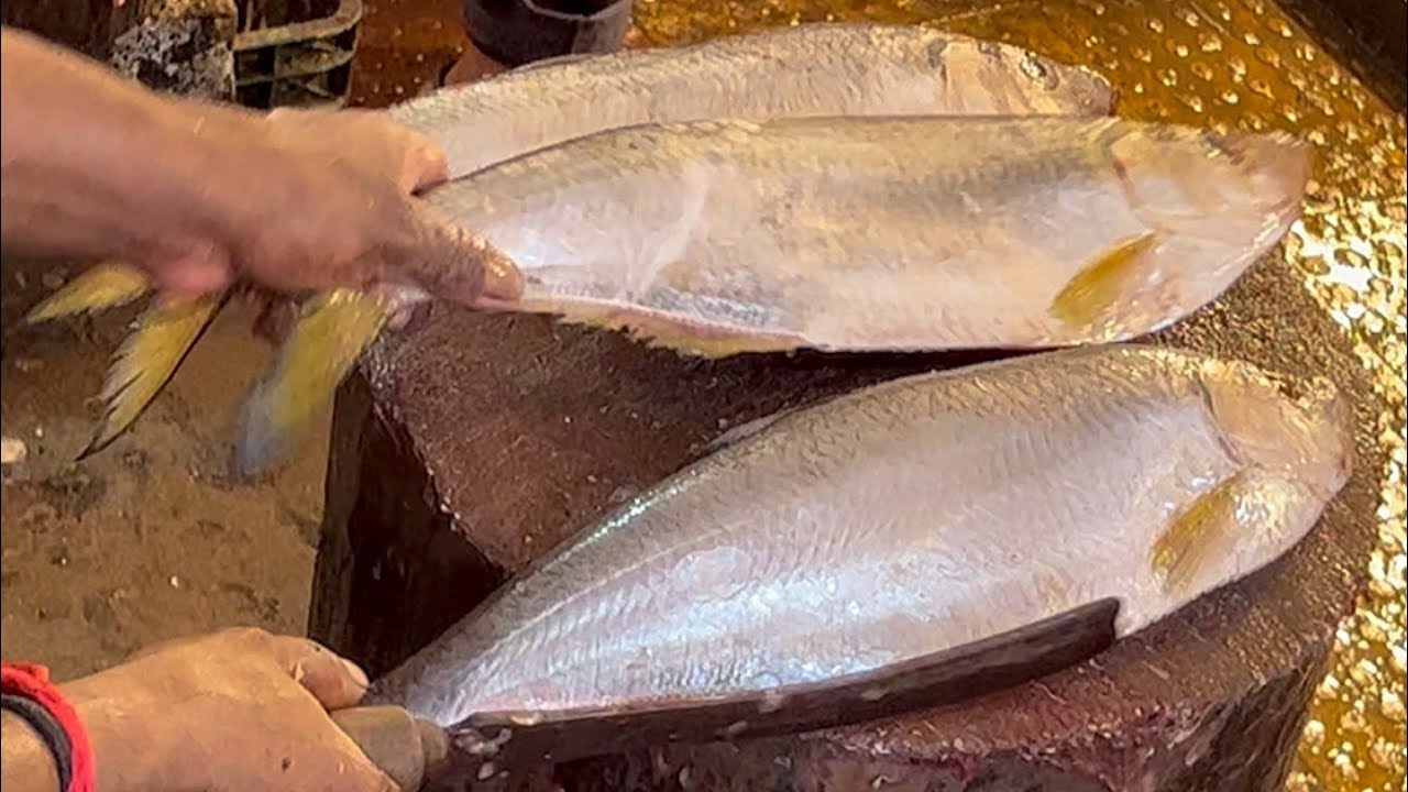Delicious Big Hilsa Fish Cutting Skills Live In Fish Market | Fish ...