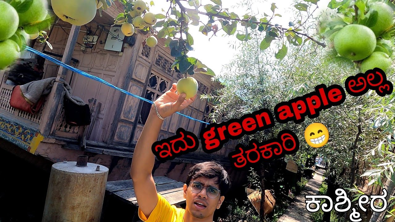 Green apple 🍎 ಕಾಶ್ಮೀರದಲ್ಲಿ - YouTube