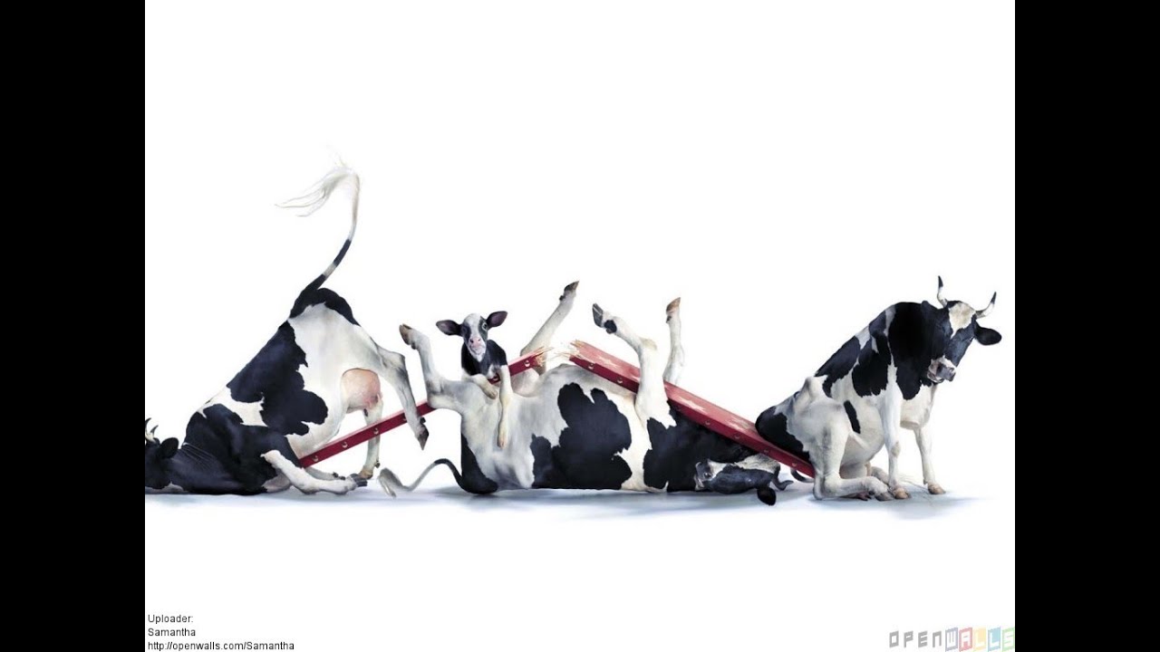 La Vaca Lechera - Canciones Infantiles - Spanish for Kids - YouTube