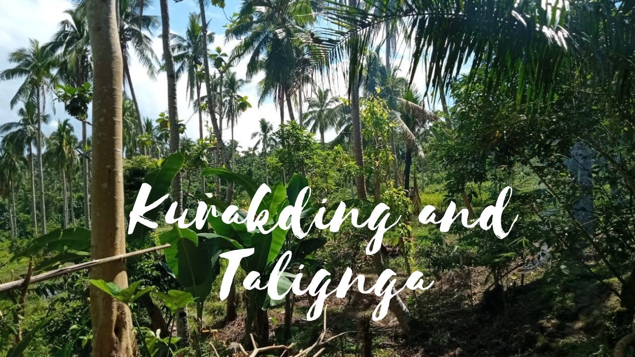 One of our Favorite dishes: Kurakding |Talignga | MhadVela - YouTube
