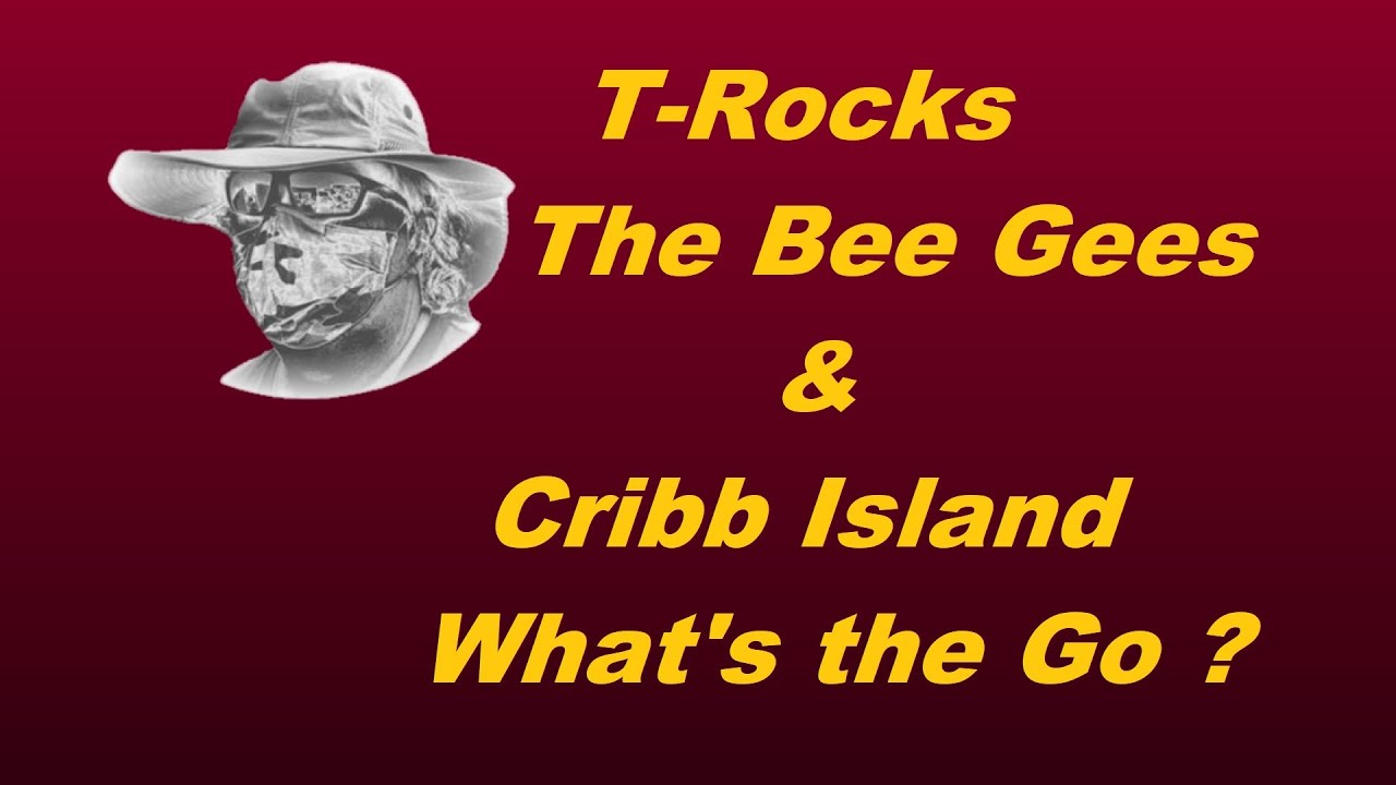 The Bee Gees Cribb Island Connection - YouTube