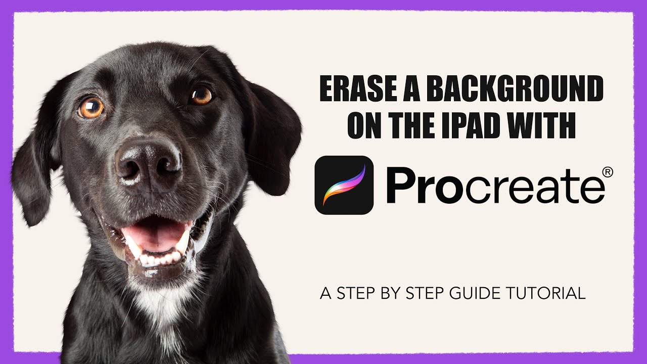 How to Erase a Background on the Ipad with Procreate - YouTube