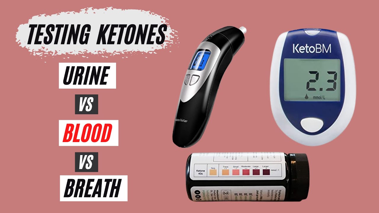 CHL#4 KETONES | Different Ways of Ketone Testing with Urine, Blood and ...