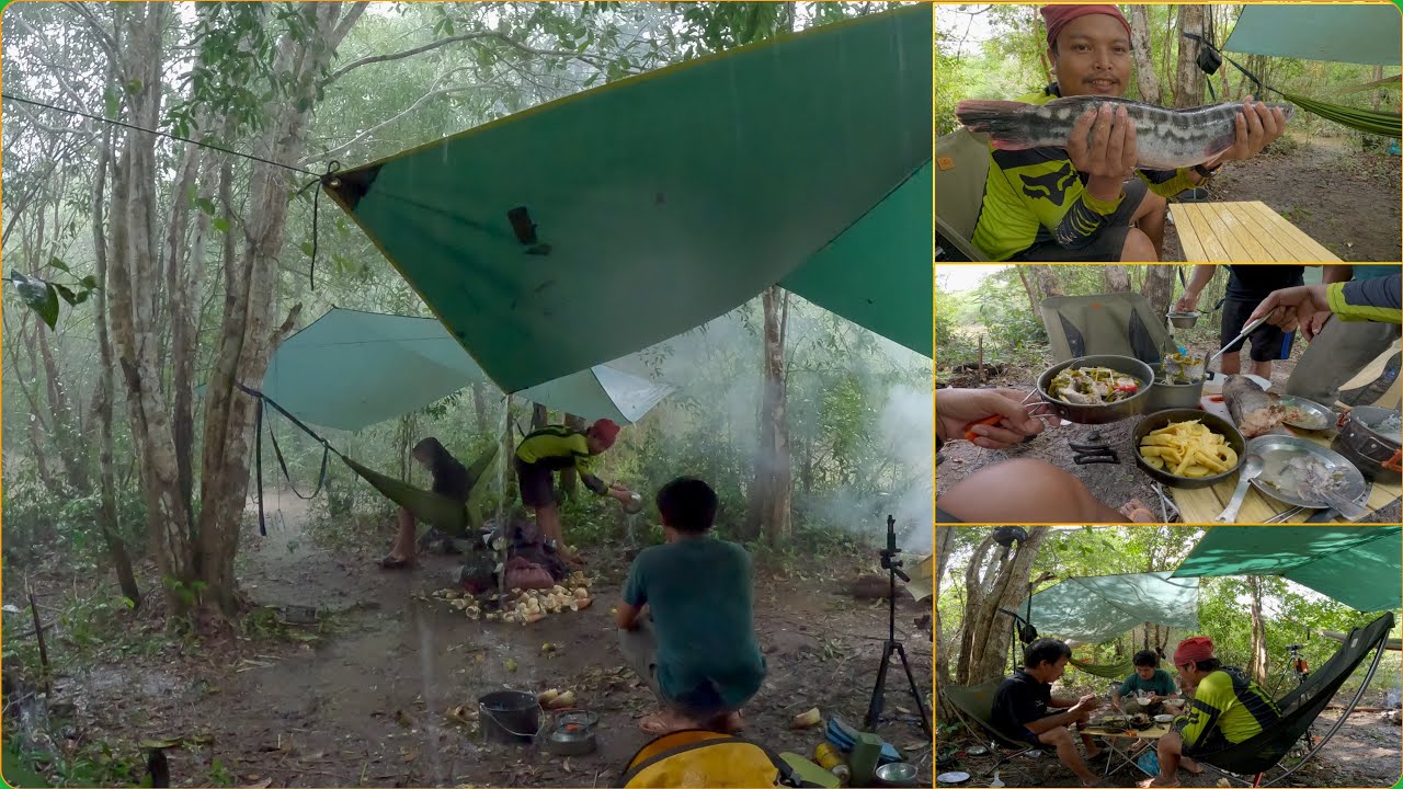 ត្រីឆ្តោ ស្ងោរ អាំង ភ្លា - Camping near waterfront & Cooking with wild ...