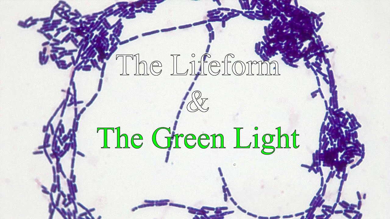 The Lifeform and Green Light Theory | The Backrooms - YouTube